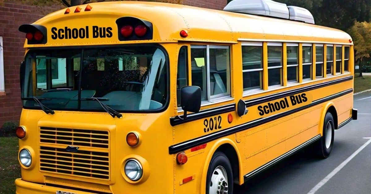 9 Things That Are 30 Feet Long/ Big - Accura Metrics