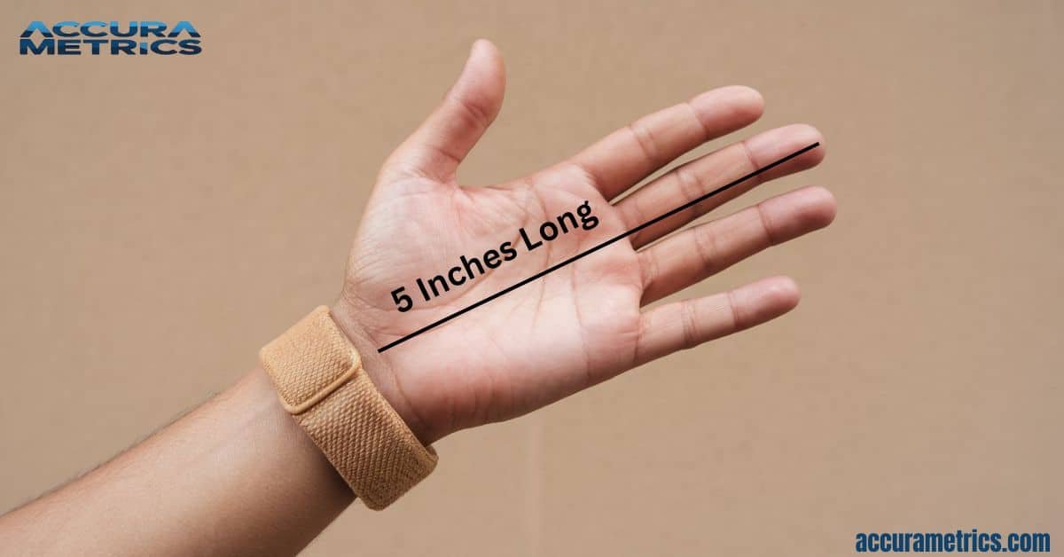 12 Everyday Items That Are About 5 Inches Long - Accura Metrics