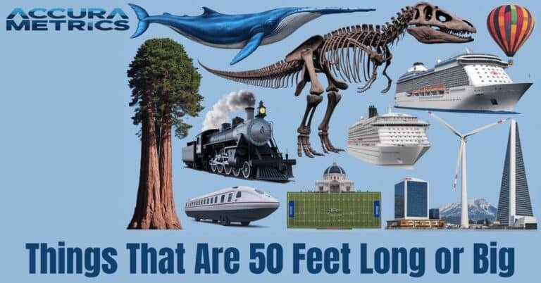 10 Things That Are 50 Feet Long or Big - Accura Metrics