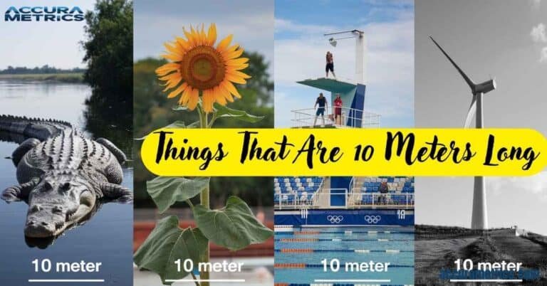21 Things That Are 10 Meters Long/Big - Accura Metrics